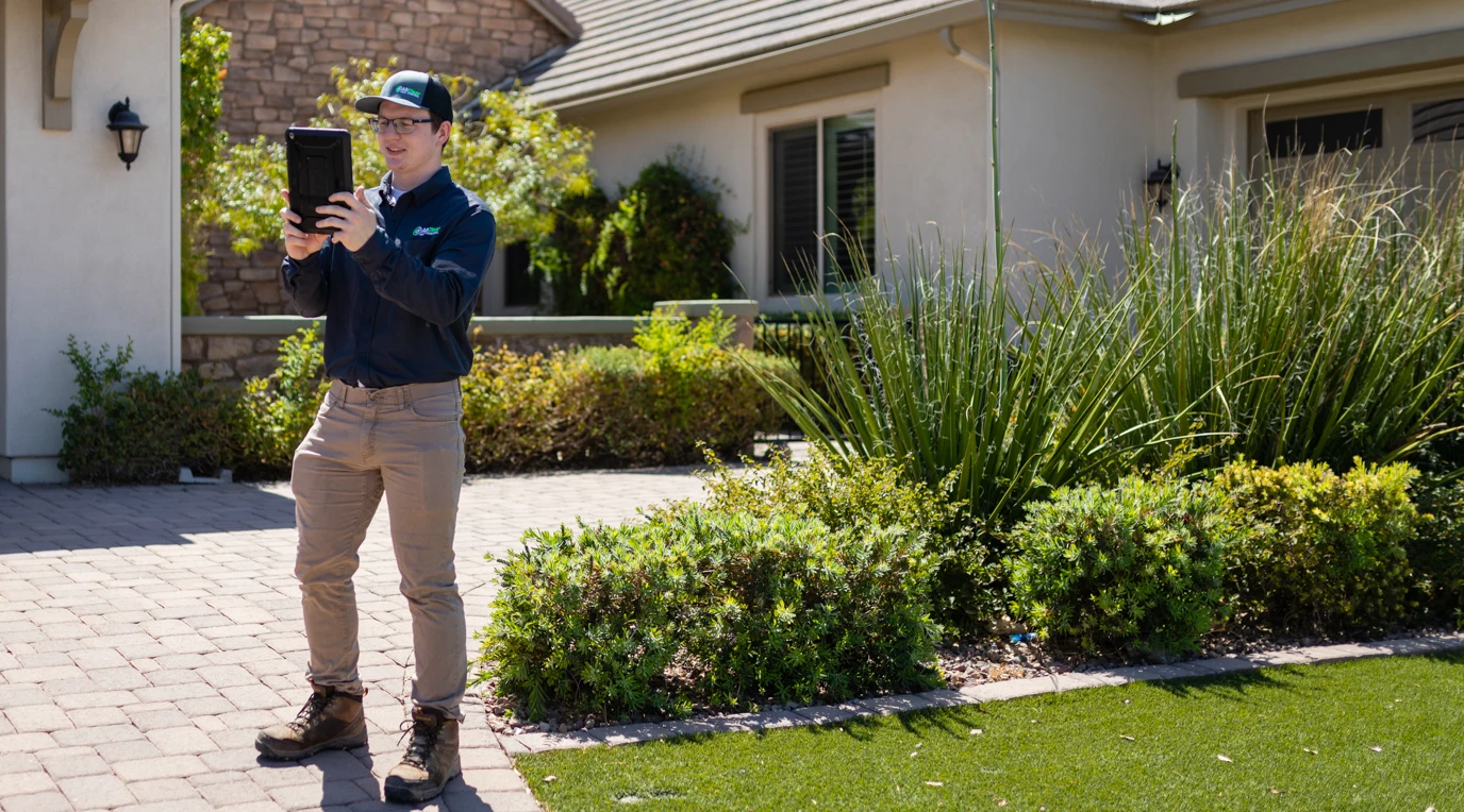 Top-Rated Expert Pest Control Queen Creek AZ Services