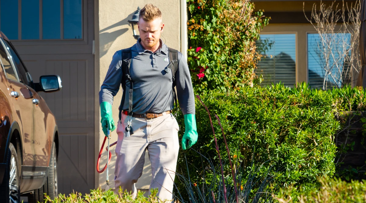 About All Clear Pest Control | Fast Responce to Termites, Scorpions and ...