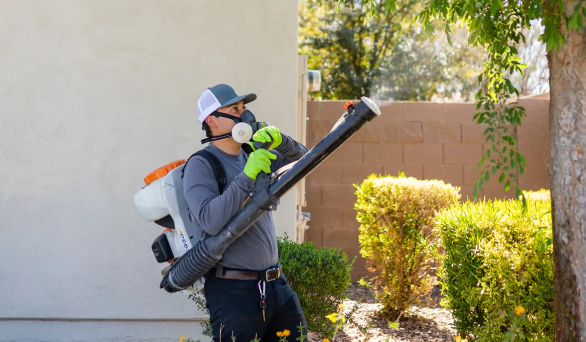 Pest Control FAQs | Your Pest Questions Answered